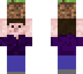 dirt block guy | Minecraft Skins