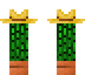 cowboy hat | Minecraft Skins