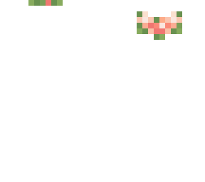 Flower Crown Base | Minecraft Skin