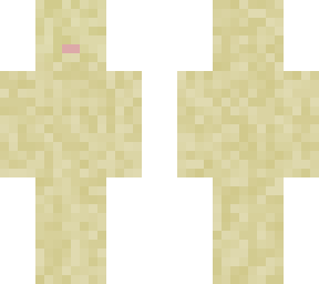 Starter skin/sand skin | Minecraft Skin