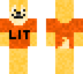 DOGE (LIT) | Minecraft Skin