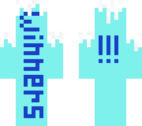 WINNERS!!! | Minecraft Skin