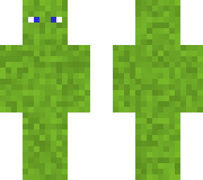 Steve Hiding in a Forest | Minecraft Skin