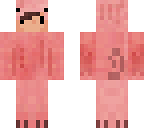 Pig Leebra | Minecraft Skin