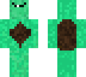 Derp Turtle | Minecraft Skin