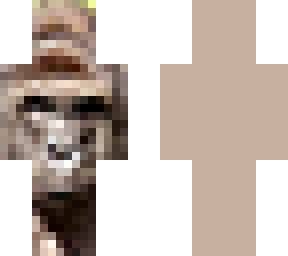 harambe | Minecraft Skin