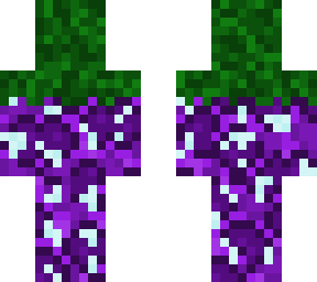 Frozen Grapes | Minecraft Skin