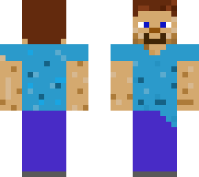 Steve Upside Down | Minecraft Skins
