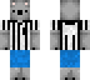 Koala Referee | Minecraft Skin