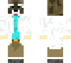 Raccoon | Minecraft Skins