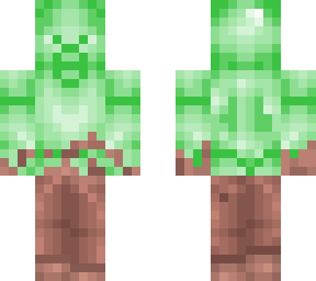 Terrain Steve | Minecraft Skin