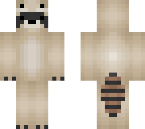 Raccoon | Minecraft Skins