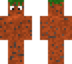 Dirt Monster | Minecraft Skin
