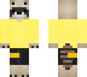 Raccoon | Minecraft Skins