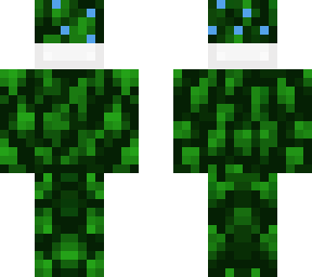 Bush | Minecraft Skins