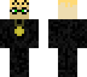 cat noir | Minecraft Skin