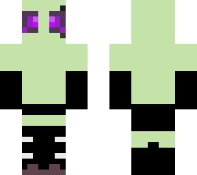 Invader Tak Base | Minecraft Skin