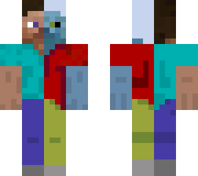Inverted Steve | Minecraft Skins