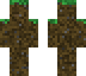 Dirt | Minecraft Skin