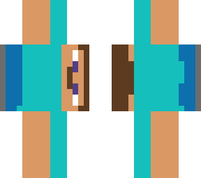 Sideways Plastic Steve | Minecraft Skin