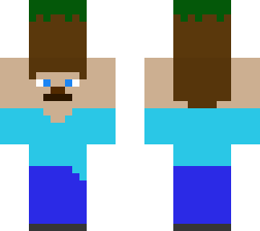 Steve Holding Block | Minecraft Skins