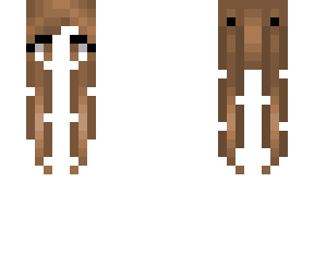 Ponytail | Minecraft Skins