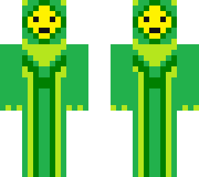 custom | Minecraft Skins