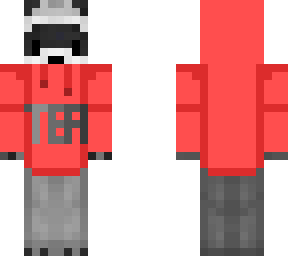 Raccoon | Minecraft Skins