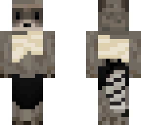 Raccoon | Minecraft Skins
