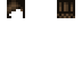 Braided Updo Hair Base | Minecraft Skin