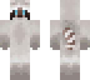 Raccoon | Minecraft Skin