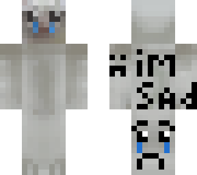 sad cat | Minecraft Skin