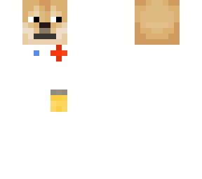 Dr. Doggo | Minecraft Skin