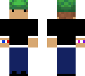 Turtle Hat | Minecraft Skin