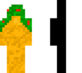 Taco | Minecraft Skin