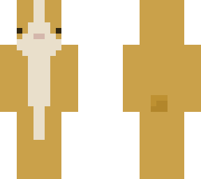 Corgi | Minecraft Skins