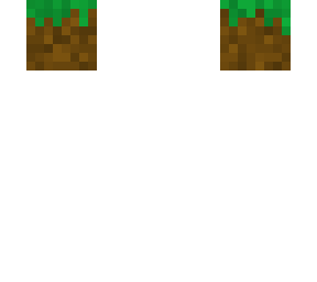 Minecraft Dirt Block Texture Side