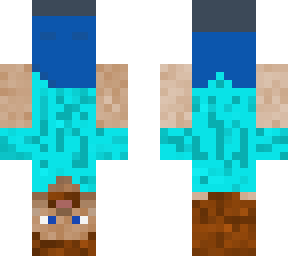 Upside down Steve | Minecraft Skin
