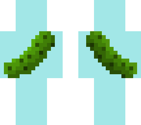 Pickle pixel art | Minecraft Skin