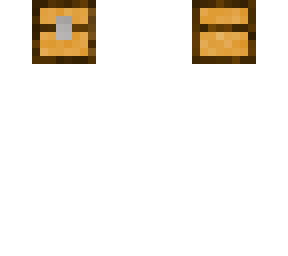 CHEST HEAD | Minecraft Skin