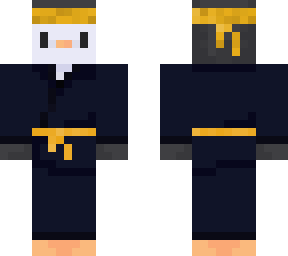 Ninja Penguin | Minecraft Skin
