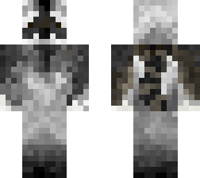 Raccoon | Minecraft Skin