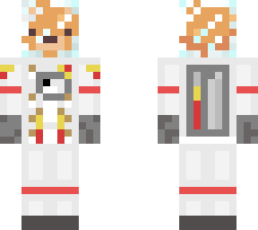 Astro Bear | Minecraft Skin