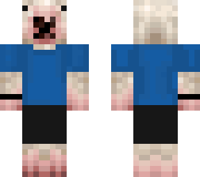 walter dog meme | Minecraft Skins