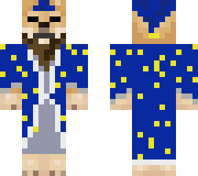 Wizard Doggo | Minecraft Skin