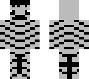 ZEBRA SKIN | Minecraft Skin