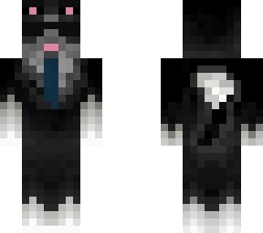 Funny Cat | Minecraft Skins