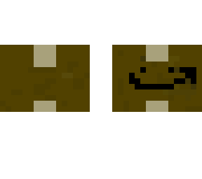 AMAZON BOX | Minecraft Skin