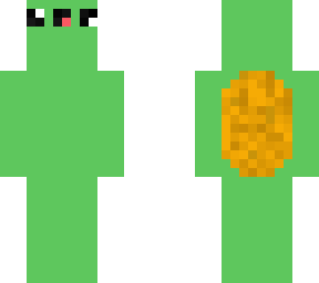 DERP Turtle | Minecraft Skin