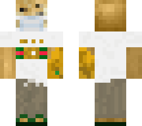 Quarantine Doge | Minecraft Skin
